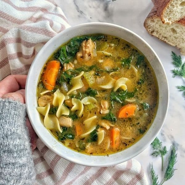 Pressure Cooker Chicken Noodle Soup - The Oregon Dietitian