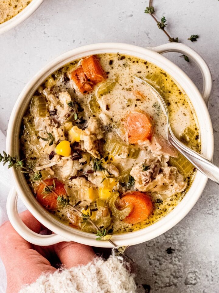 Instant Pot Chicken and Rice Soup - The Oregon Dietitian