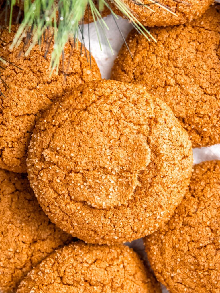 Chewy Molasses Spice Cookies - The Oregon Dietitian