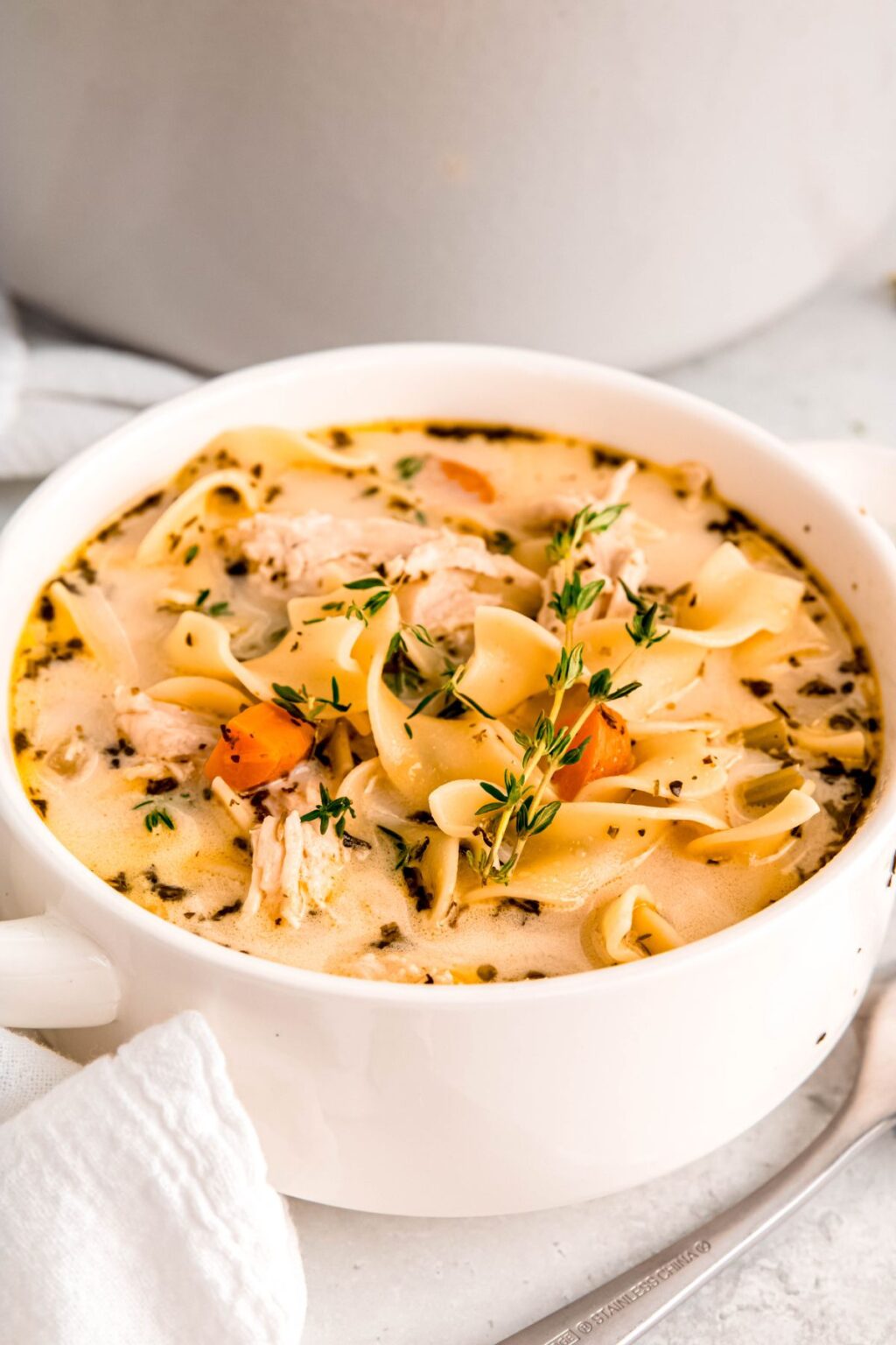 Creamy Turkey Noodle Soup - The Oregon Dietitian