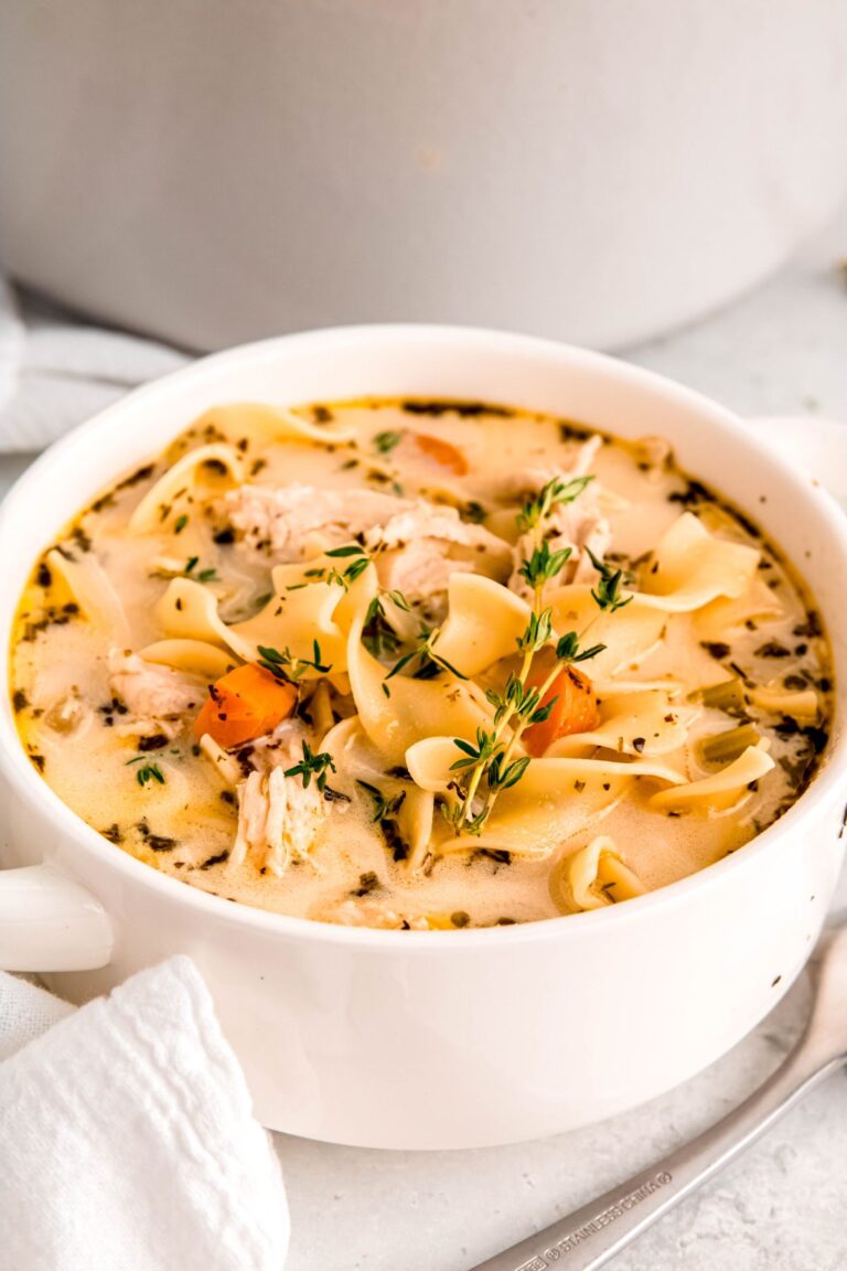 Creamy Turkey Noodle Soup - The Oregon Dietitian