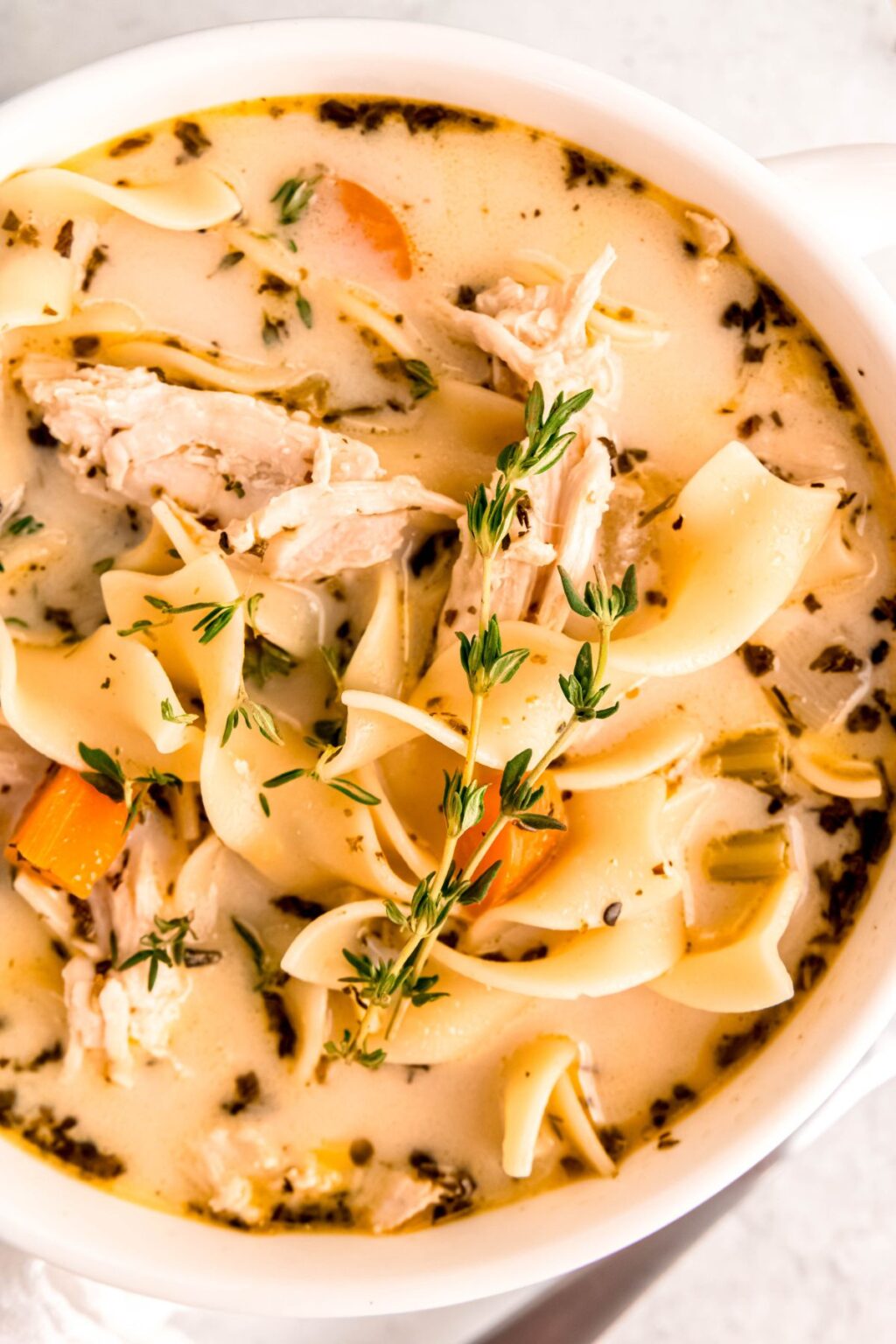 Creamy Turkey Noodle Soup - The Oregon Dietitian