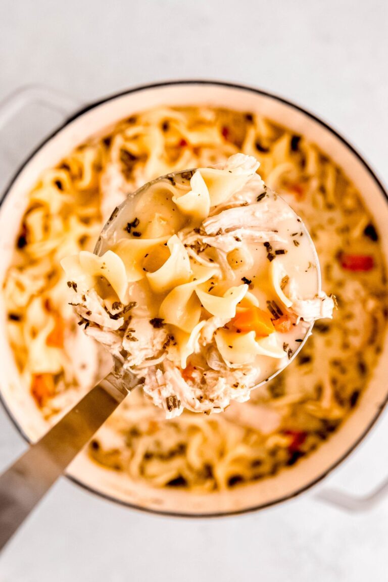 Creamy Turkey Noodle Soup - The Oregon Dietitian