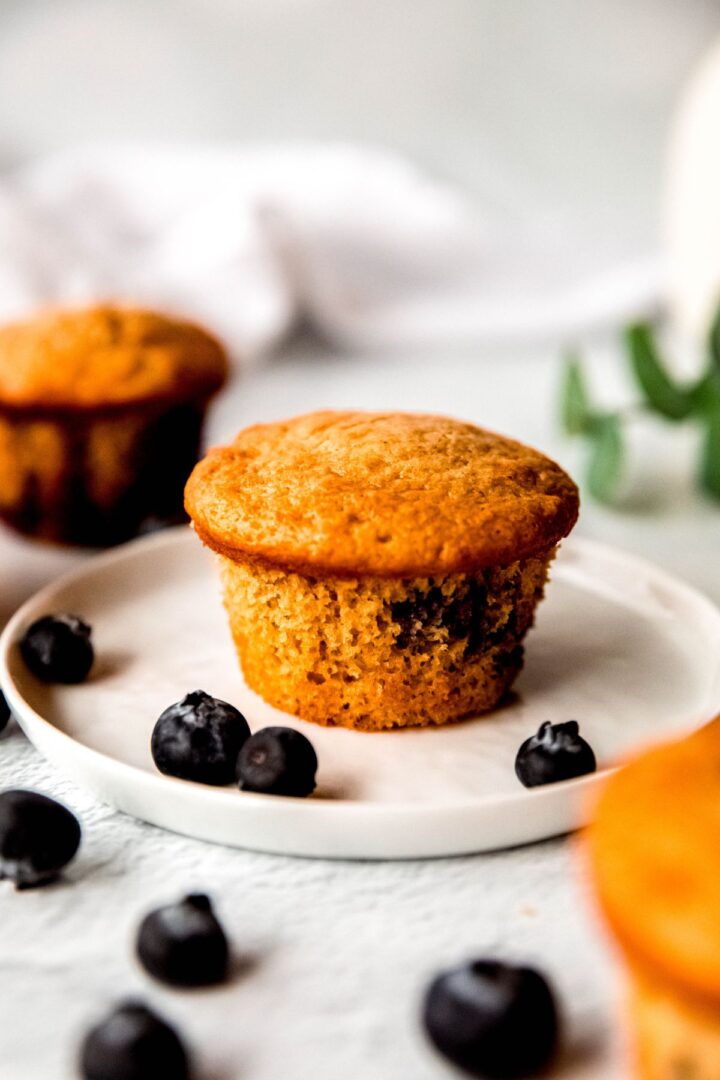 Blueberry Protein Muffins (with Protein Powder) - The Oregon Dietitian