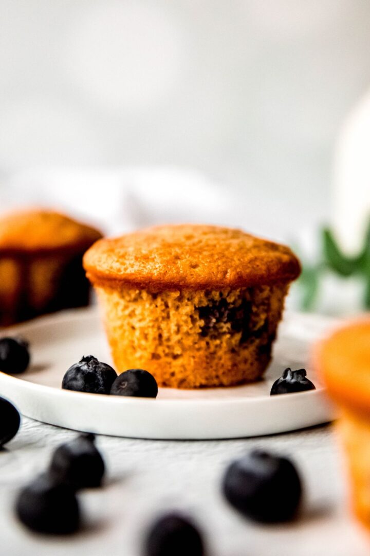 Blueberry Protein Muffins (with Protein Powder) - The Oregon Dietitian