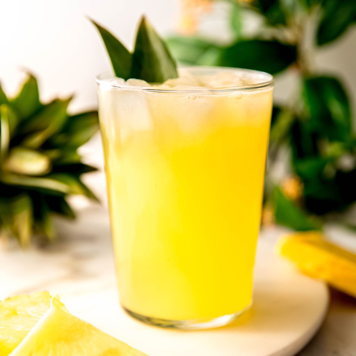 20+ Homemade Lemonade Recipes - The Oregon Dietitian