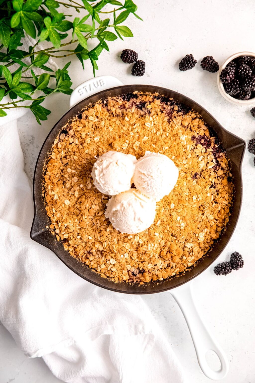 Fresh Blackberry Crisp - The Oregon Dietitian
