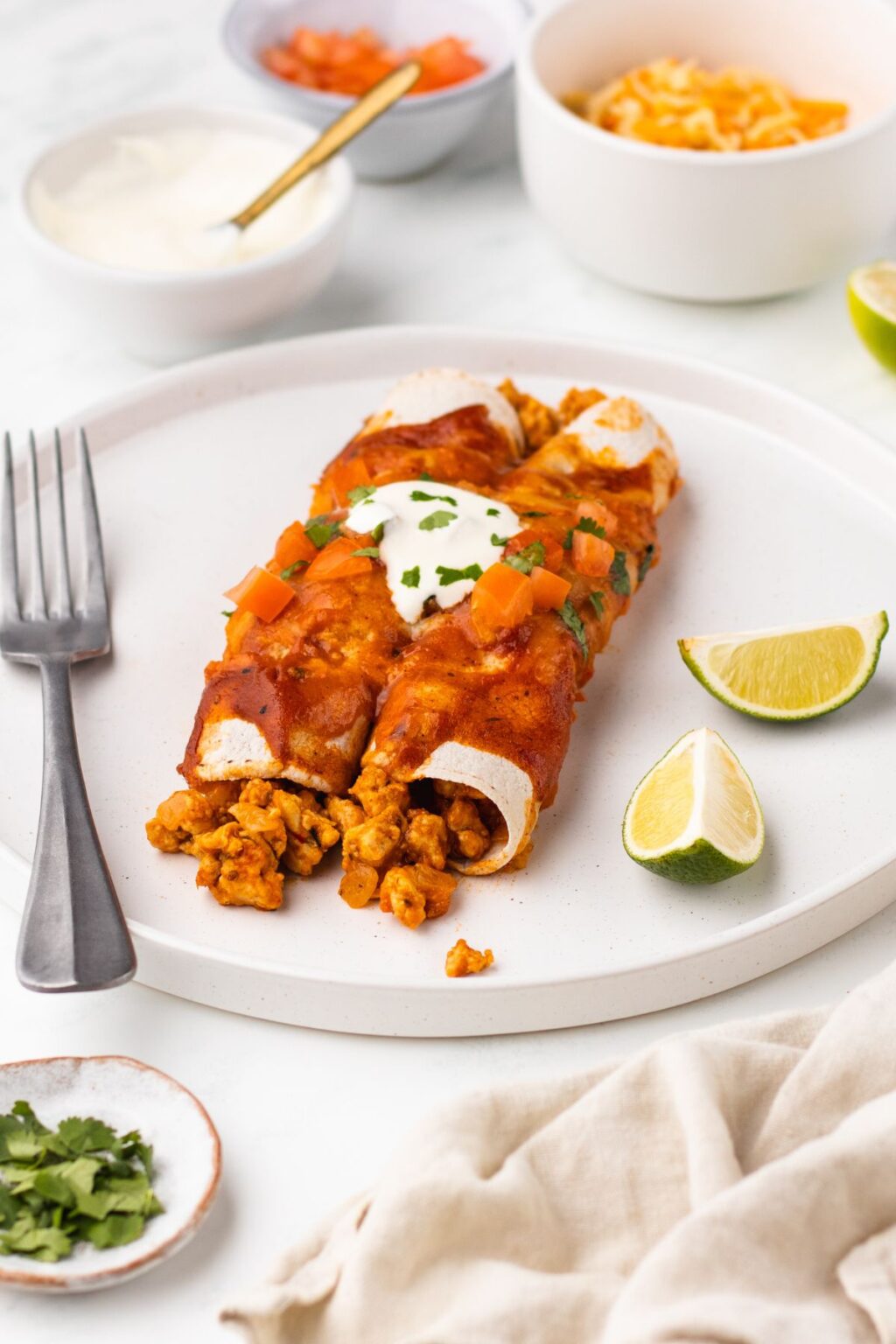 Turkey Enchiladas (Ground or Leftover Turkey!) - The Oregon Dietitian