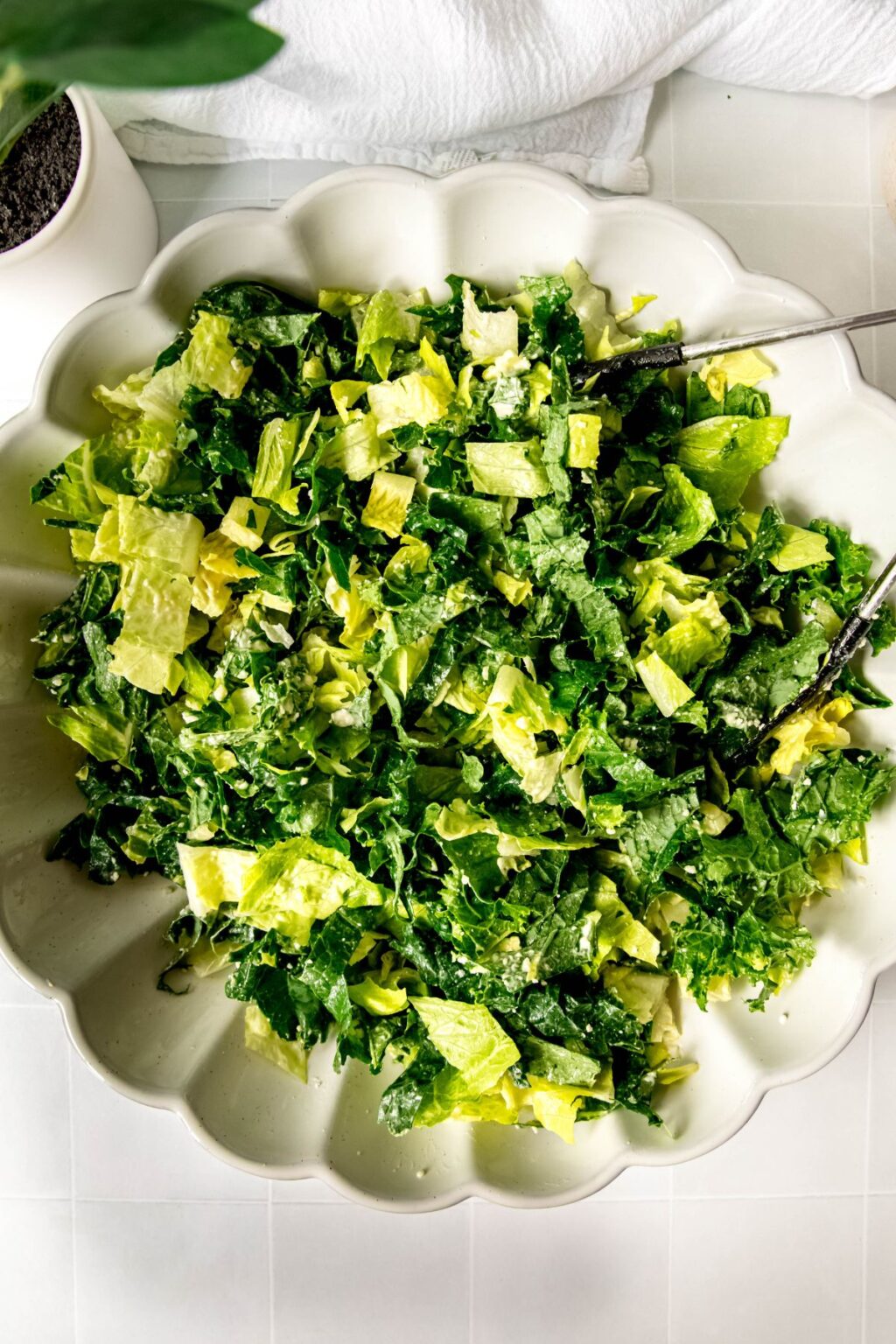 Easy Kale Caesar Salad - The Oregon Dietitian